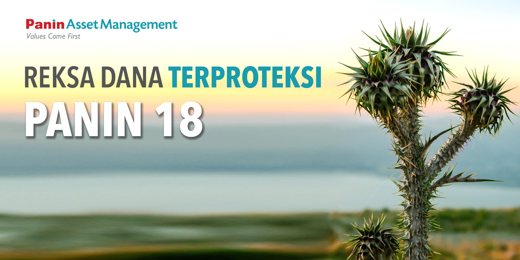 PT. Panin Asset Management