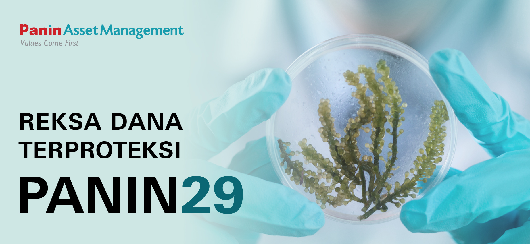 PT. Panin Asset Management